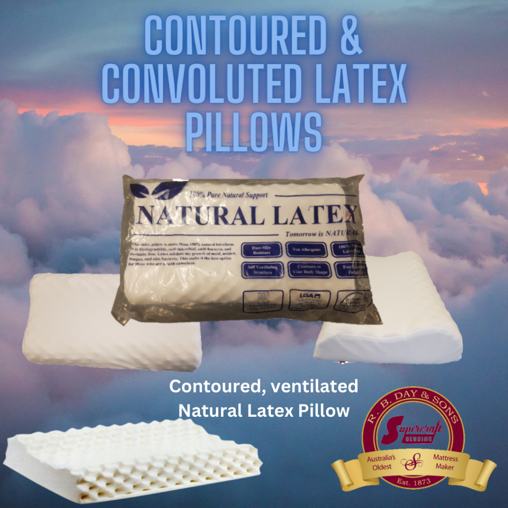 Contoured & Convoluted Latex Pillows – Supercraft Bedding